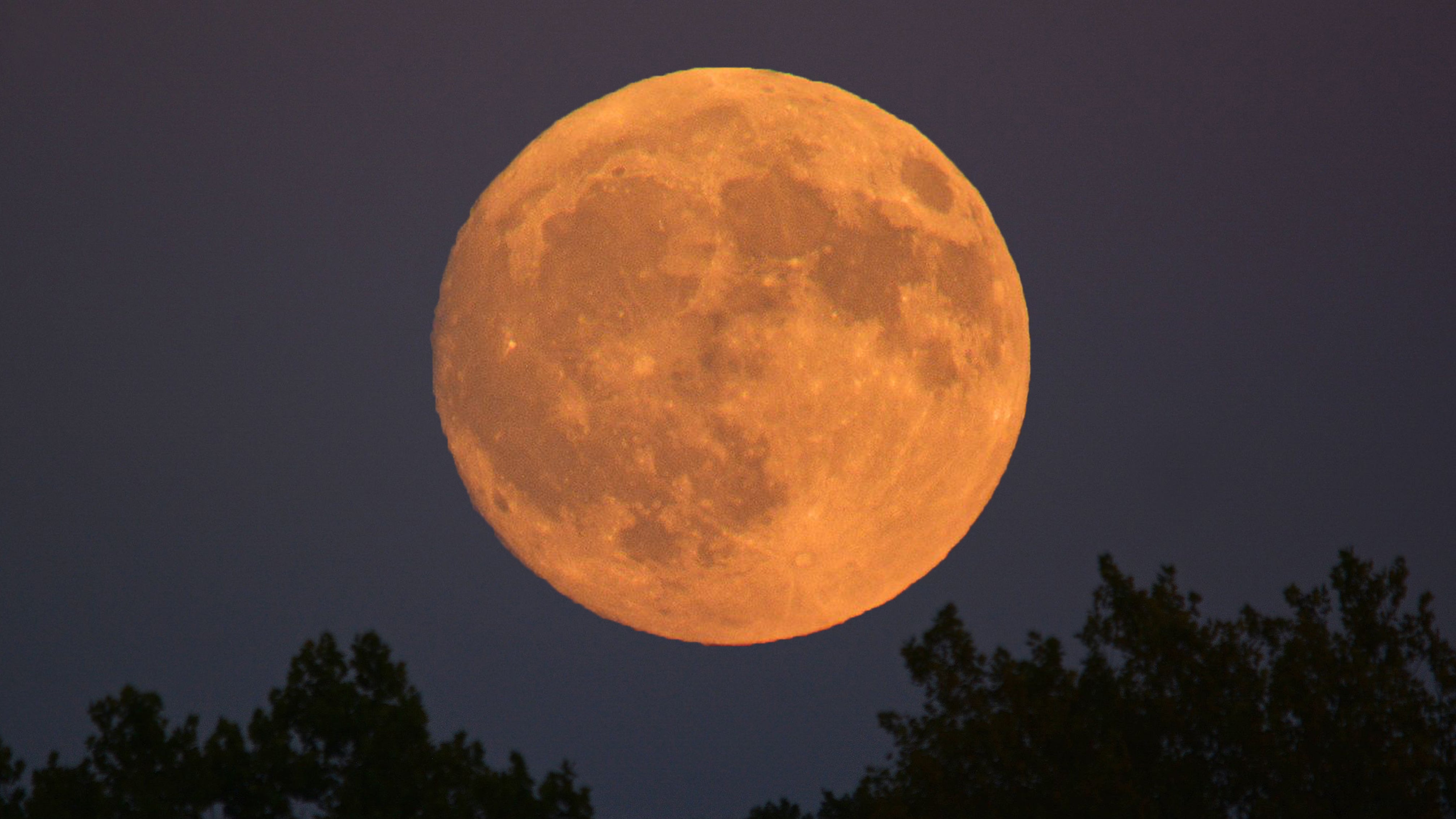 Unlocking the Spiritual Meaning of July's Full Buck Moon in 2024 ...